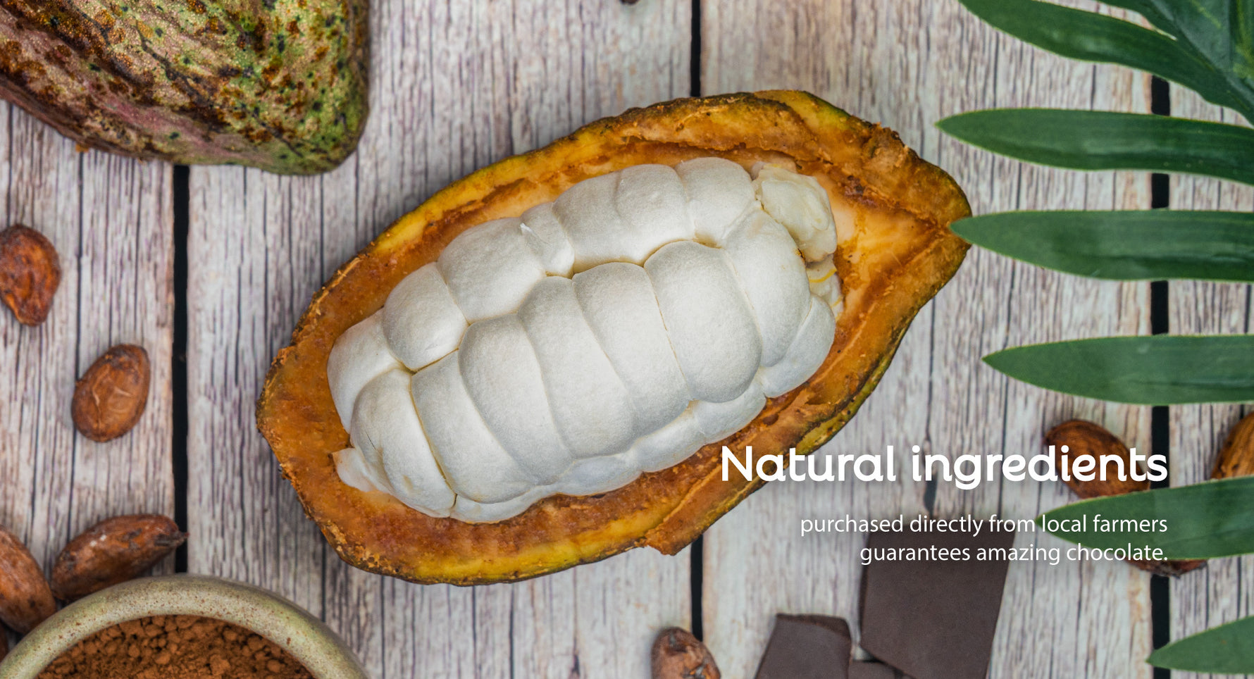 Siamaya Chocolate Thailand | Bean-To-Bar Thai Chocolate