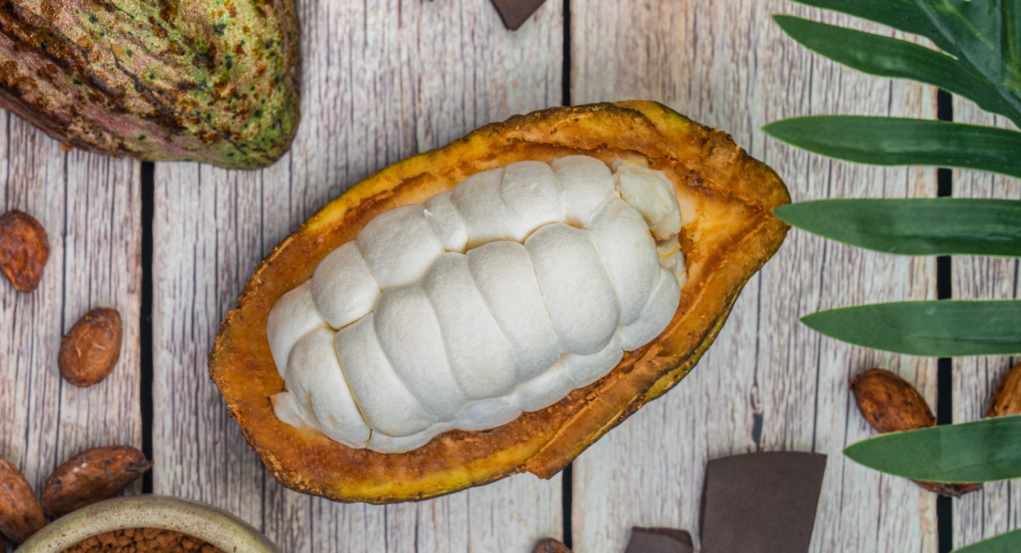 Siamaya Chocolate Thailand | Bean-To-Bar Thai Chocolate