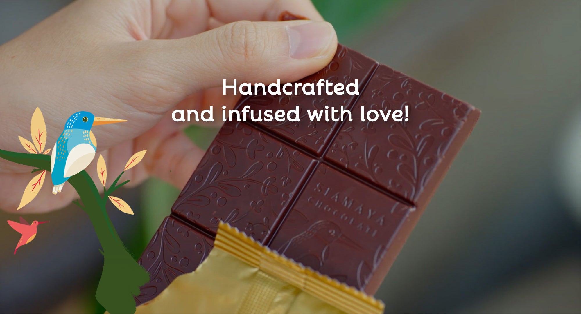 Siamaya Chocolate Thailand | Bean-To-Bar Thai Chocolate